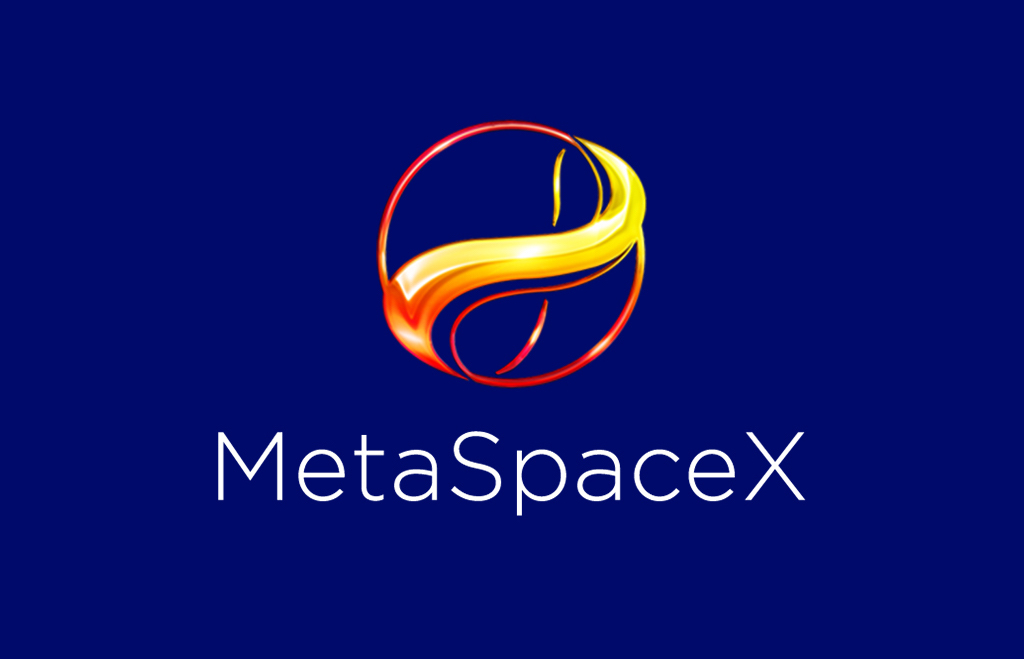 MetaSpaceX